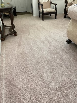 WORLD CLASS CARPET CLEANING - Updated September 2024 - 196 Photos & 474 ...