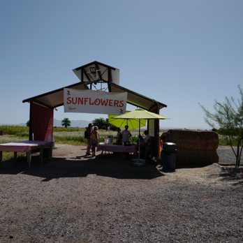 VERTUCCIO FARMS - Updated February 2025 - 286 Photos & 156 Reviews ...