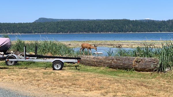 DEEP BAY RV PARK - Updated December 2025 - 5315 Deep Bay Drive, Nanaimo ...