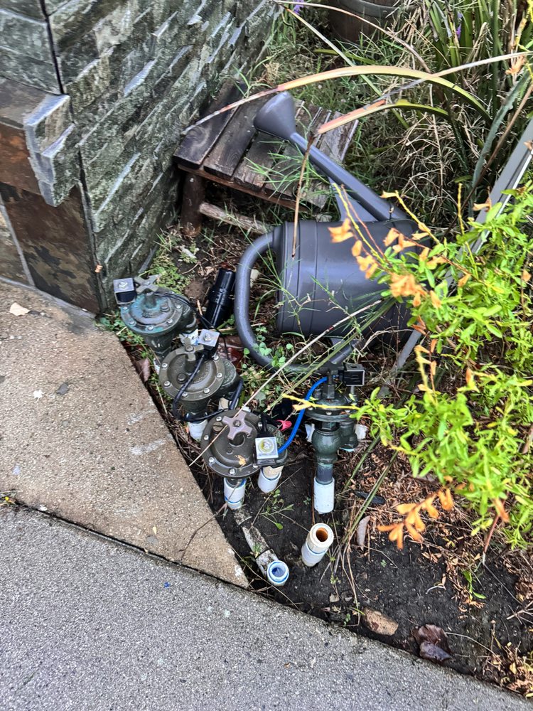 NSD - Updated June 2025 - 215 Photos & 2807 Reviews - Chantilly ...