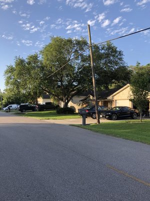 EMMANUEL TREE - Updated October 2025 - 98 Photos - 711 Ave H, South ...