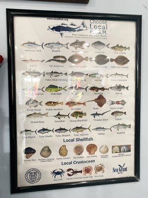 BLUE WATER FISH - Updated September 2025 - 48 Photos & 38 Reviews - 2 ...