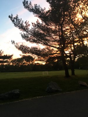 COLD SPRING PARK - 38 Photos & 19 Reviews - Duncklee St, Newton ...