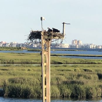 CRABCAKE FACTORY BAYSIDE - Updated December 2025 - 340 Photos & 276 ...