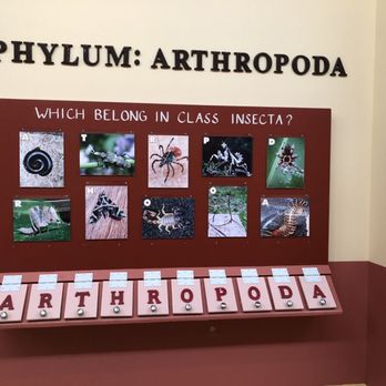 INSECTROPOLIS - Updated October 2025 - 101 Photos & 28 Reviews - 1761 ...