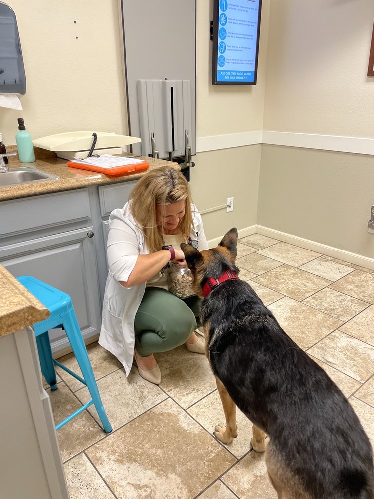 ADVANCED ANIMAL CARE - Updated December 2025 - 21 Photos & 56 Reviews ...