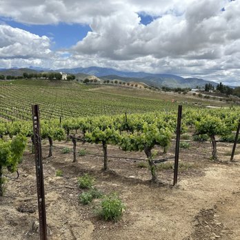 LEONESS CELLARS - Updated July 2024 - 2723 Photos & 2095 Reviews ...