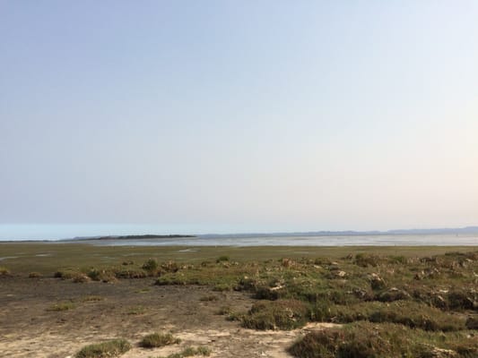 LEADBETTER POINT STATE PARK - Updated October 2025 - 40105 Stackpole Rd ...