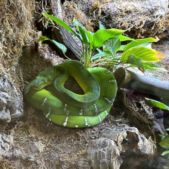 ANIMAL WORLD & SNAKE FARM - Updated May 2024 - 757 Photos & 283 Reviews ...