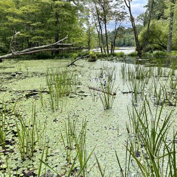 BAYS MOUNTAIN PARK & PLANETARIUM - Updated April 2026 - 58 Photos & 40 ...