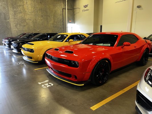 EARTH MOTOR CARS - Updated July 2025 - 160 Photos & 135 Reviews - 3216 ...