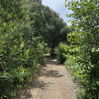 CAROLINE PARK - Updated December 2025 - 70 Photos & 26 Reviews - 320 ...