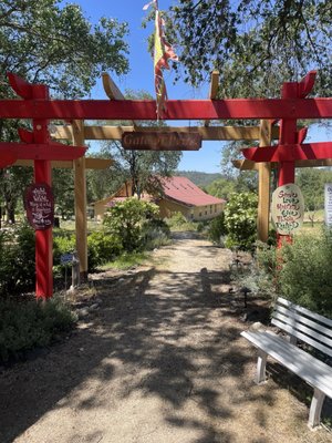 SIVANANDA ASHRAM YOGA FARM - Updated January 2025 - 96 Photos & 74 ...