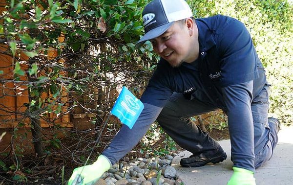 SMITH’S PEST MANAGEMENT - Updated October 2025 - 122 Photos & 187 ...