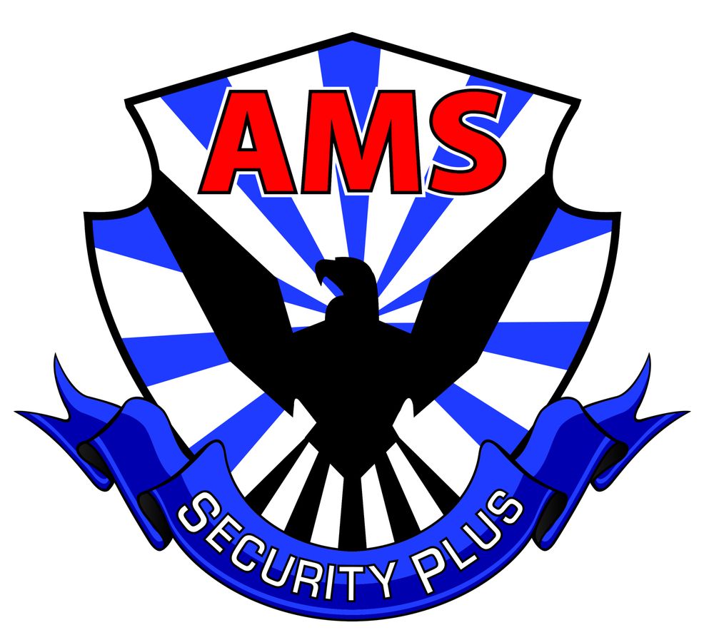 AMS SECURITY PLUS - 8 Second Ave, Rensselaer, NY - Yelp