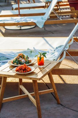 WILD BIRD - Updated August 2024 - 32 Photos & 42 Reviews - 2777 4th St ...