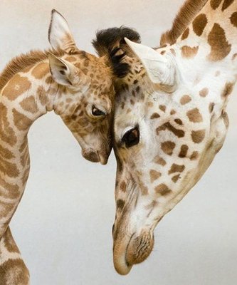 SENSEABILITIES - Updated October 2025 - 12 Photos & 50 Reviews - 6800 ...