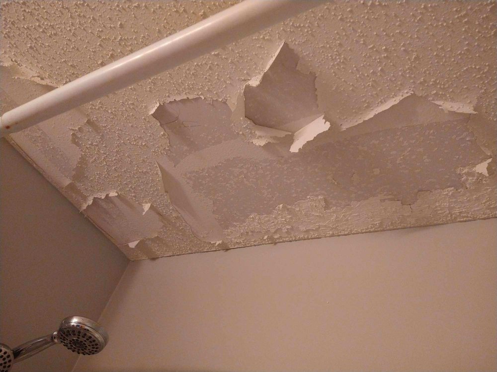 CEILING FINE - Minneapolis, Minnesota - General Contractors - Phone ...