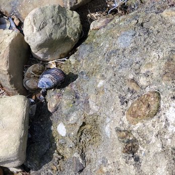 WHITE POINT NATURE PRESERVE - Updated December 2025 - 294 Photos & 35 ...