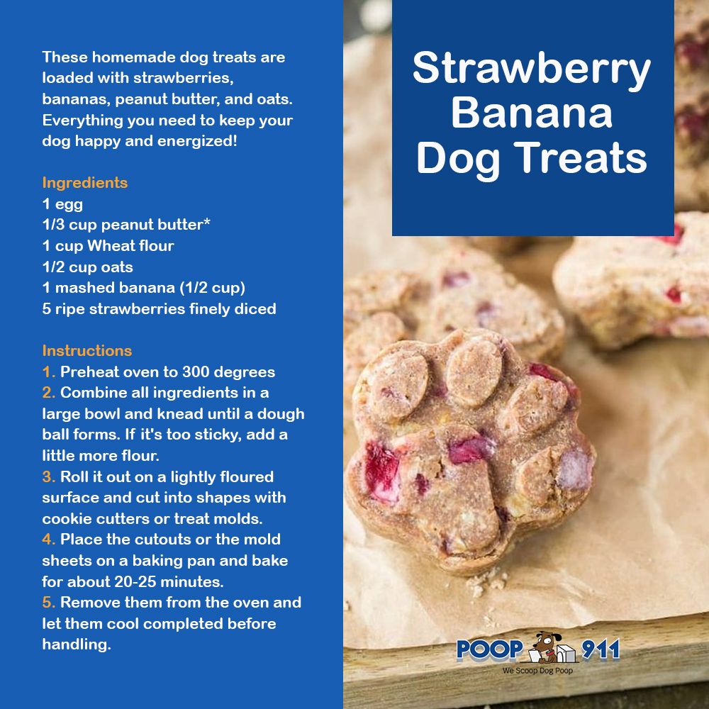 POOP 911 - Updated September 2025 - 19 Photos - Philadelphia ...