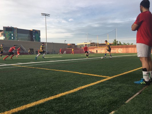 EDOR NELSON FIELD - Updated January 2025 - 2324 Butler Pl S ...