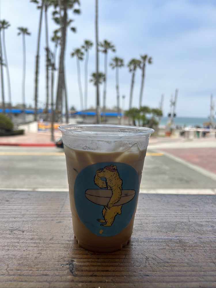 BEAR COAST COFFEE - 740 Photos & 659 Reviews - 618 1/2 Avenida Victoria ...