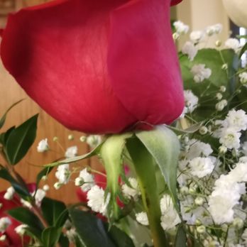 FLOWER PATCH - Updated January 2026 - 56 Photos & 77 Reviews - 4370 S ...