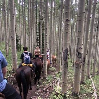 VAIL STABLES - Updated December 2025 - 202 Photos & 150 Reviews - 915A ...