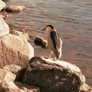 TONIC BAR AND LOUNGE - Updated December 2025 - 171 Photos & 81 Reviews ...