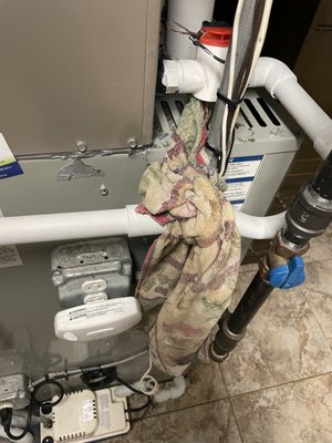 AJ PERRI - Updated October 2025 - 24 Photos & 67 Reviews - 22 Spielman ...