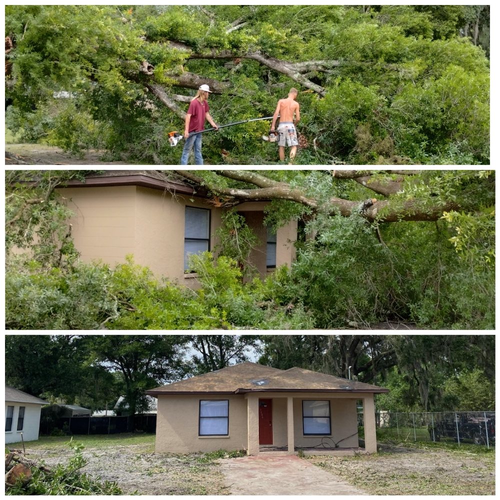 ALL AMERICAN TREE SERVICE - Updated December 2025 - 38 Photos ...