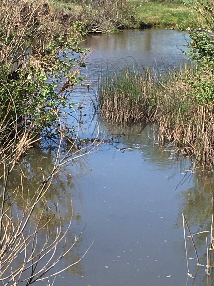 SHOW LOW BLUFF HIKING TRAIL - 36 Photos - Hiking - 769 S White Mountain ...