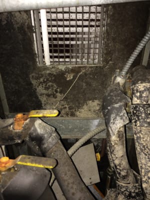 BROUWER BROTHERS STEAMATIC - Updated September 2025 - 34 Photos & 23 ...