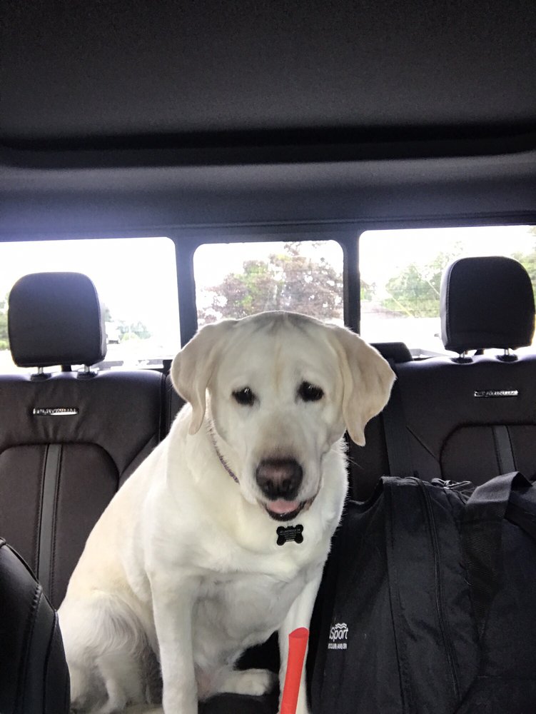 SIMPLY SOUTHERN ANIMAL HOSPITAL - Updated January 2026 - 18364 Magnolia ...