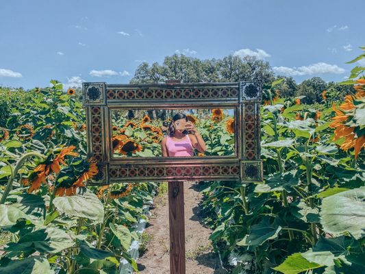 SWEETFIELDS FARM - 191 Photos & 61 Reviews - 17250 Benes Roush Rd ...