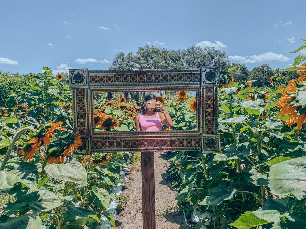 SWEETFIELDS FARM - 191 Photos & 61 Reviews - 17250 Benes Roush Rd ...