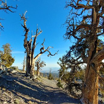 RAINTREE VIA NORTH LOOP - Updated October 2025 - 85 Photos & 10 Reviews ...