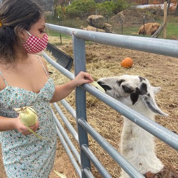 SALISBURY FARM - Updated January 2026 - 103 Photos & 37 Reviews - 11 ...