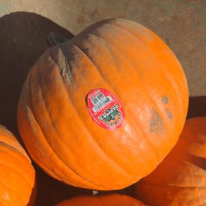 FERRARI FARMS - 115 Photos & 42 Reviews - 4701 Mill St, Reno, Nevada ...