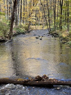 WARD POUND RIDGE RESERVATION - Updated October 2025 - 60 Photos & 25 ...