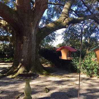 SHADE TREE CAFE - Updated October 2025 - 53 Photos & 54 Reviews - 219 S ...