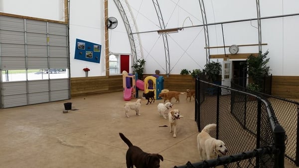 COUNTRYSIDE PET RESORT AND SPA - Updated December 2025 - 48 Photos ...