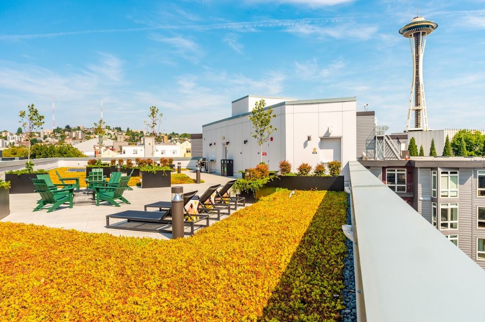 ENCORE BELLTOWN - Updated January 2026 - Request Information - 3010 1st ...