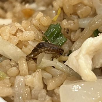 PO LEE CHINESE KITCHEN - Updated October 2025 - 16 Photos & 60 Reviews ...