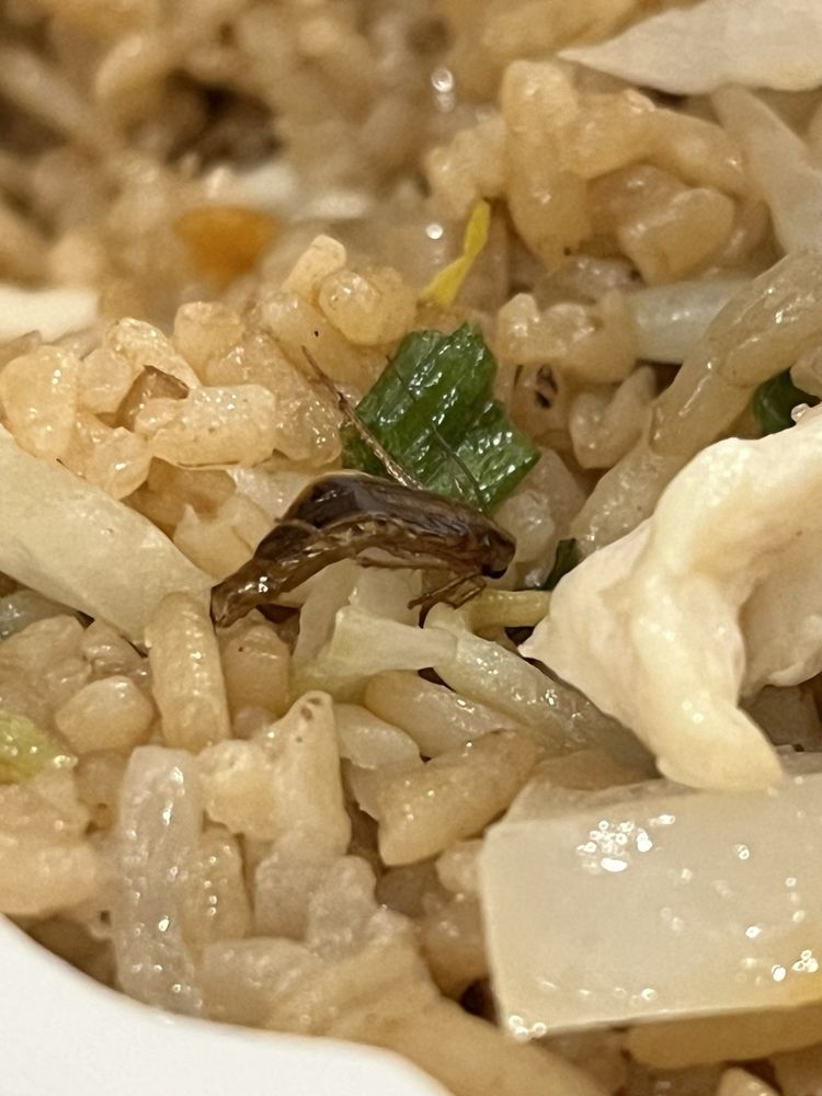 PO LEE CHINESE KITCHEN - Updated December 2025 - 16 Photos & 61 Reviews ...