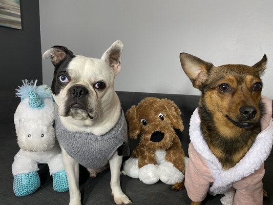 COLMA ANIMAL HOSPITAL - Updated July 2024 - 106 Photos & 299 Reviews ...