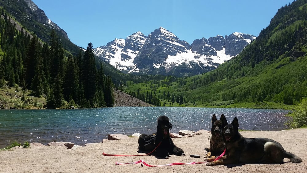 ASPEN ANIMAL HOSPITAL - Updated November 2025 - 301 Aspen Airport ...