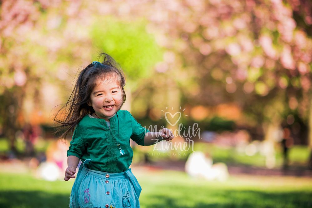 MEREDITH ZINNER PHOTOGRAPHY - Updated April 2025 - 93 Photos & 17 ...