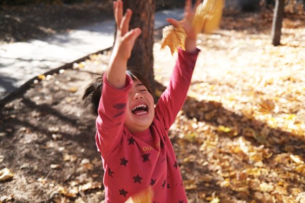 CALLAHAN PARK - Updated October 2024 - 71 Photos - 15960 Callahan Ranch ...