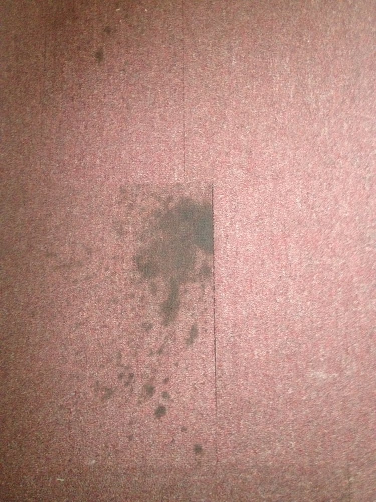 THE ALOHA HOTEL - Updated December 2024 - Liverpool, Merseyside, United ...